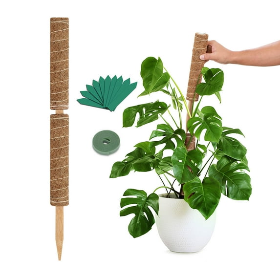 GROWNEER Full Length 24 Inches Coir Totem Pole, 2 Pcs 15 Inches Coco ...