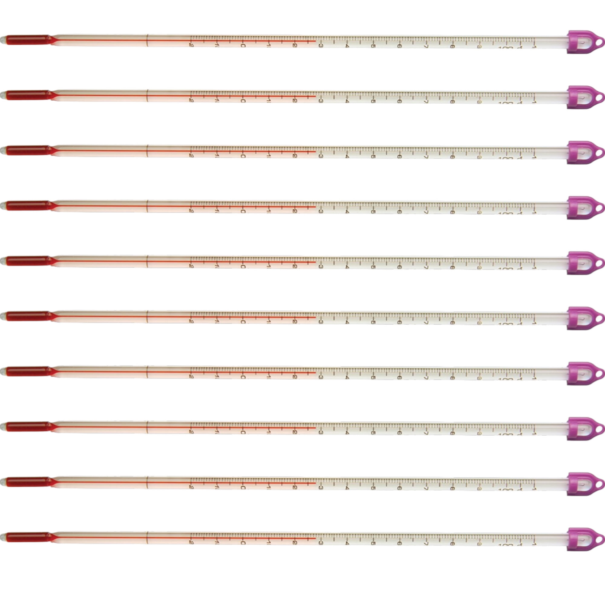 GSC International 6202-10 Thermometer, White-Backed, Total Immersion ...