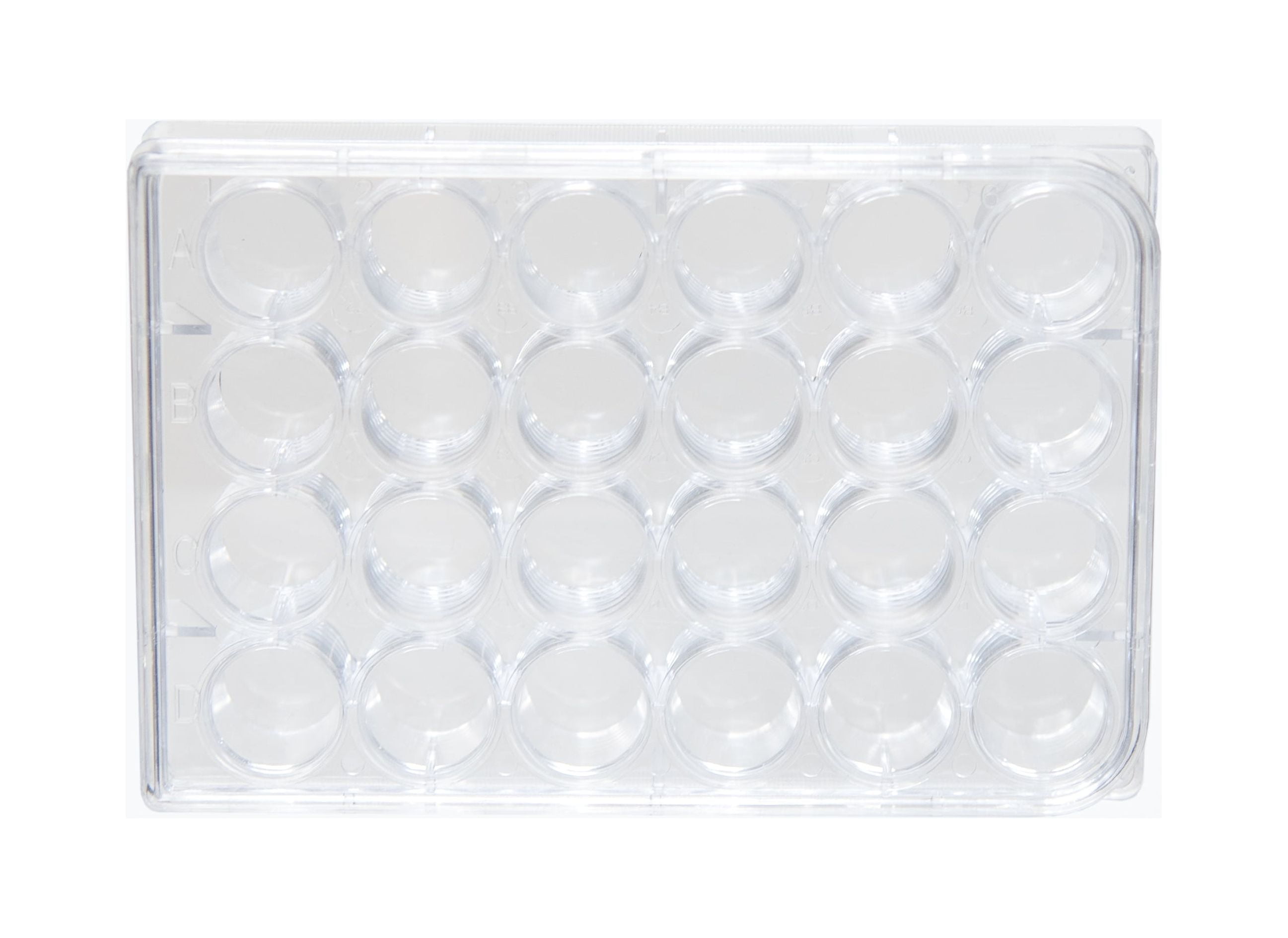 GSC International Microplate with 24 Wells and Lid, Clear Polystyrene ...