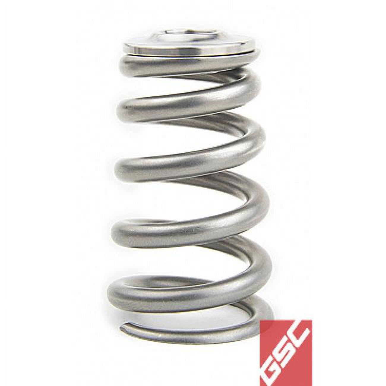 GSC Power Division High Pressure Single Conical Valve Spring & TI ...
