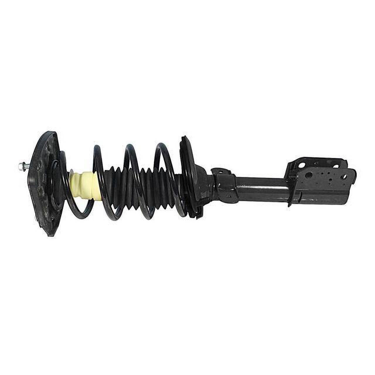 GSP 810336 Fit Chevrolet, Oldsmobile Suspension Strut and Coil Spring ...
