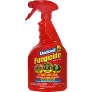 Spectracide Immunox Fungus Plus Insect Control for Lawns, Ready-to ...