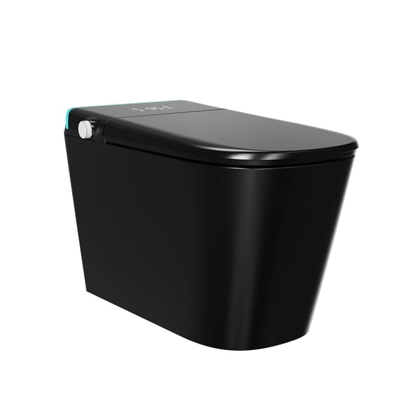 Modern Toilet