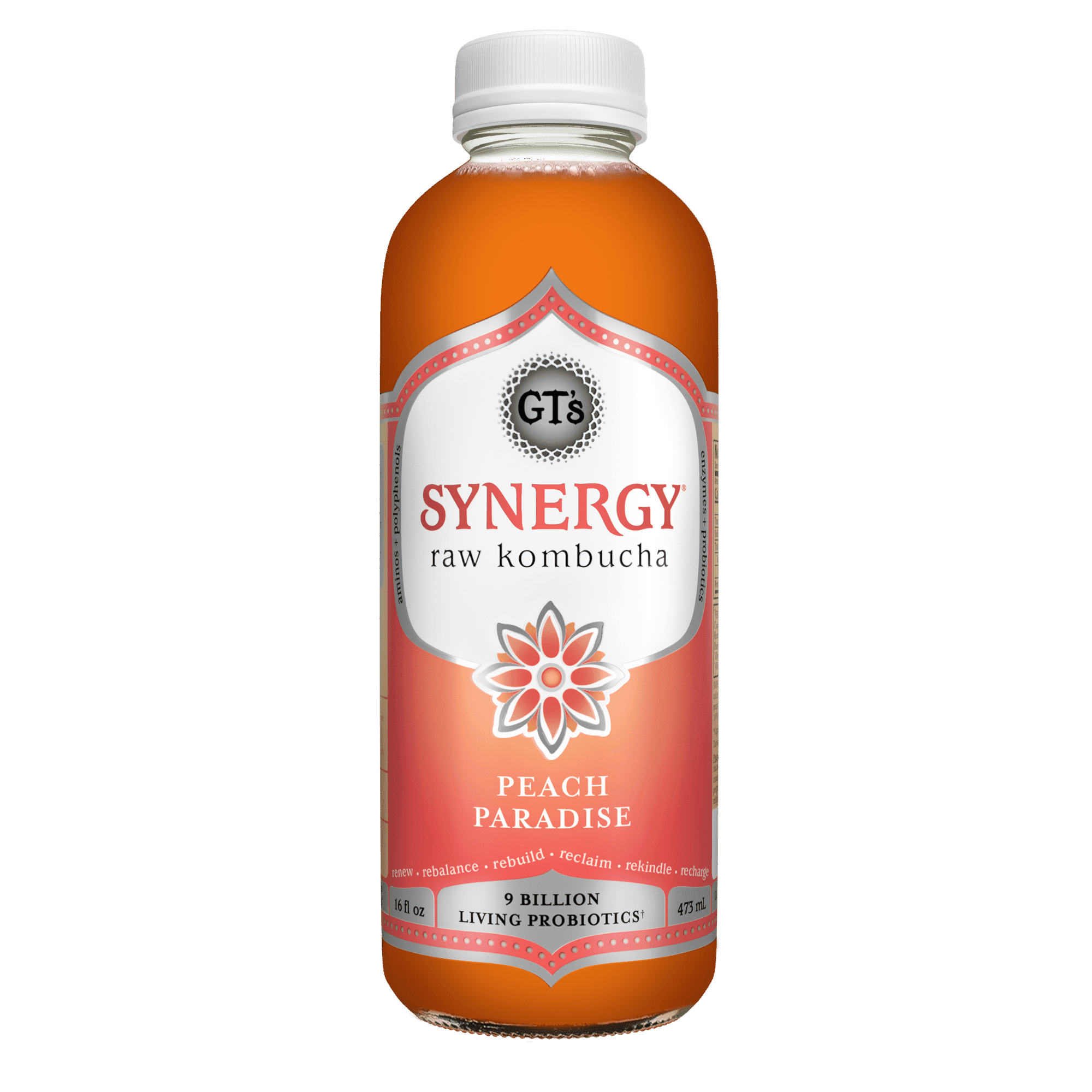 GT's Synergy Kombucha in Bottled Kombucha Tea - Walmart.com