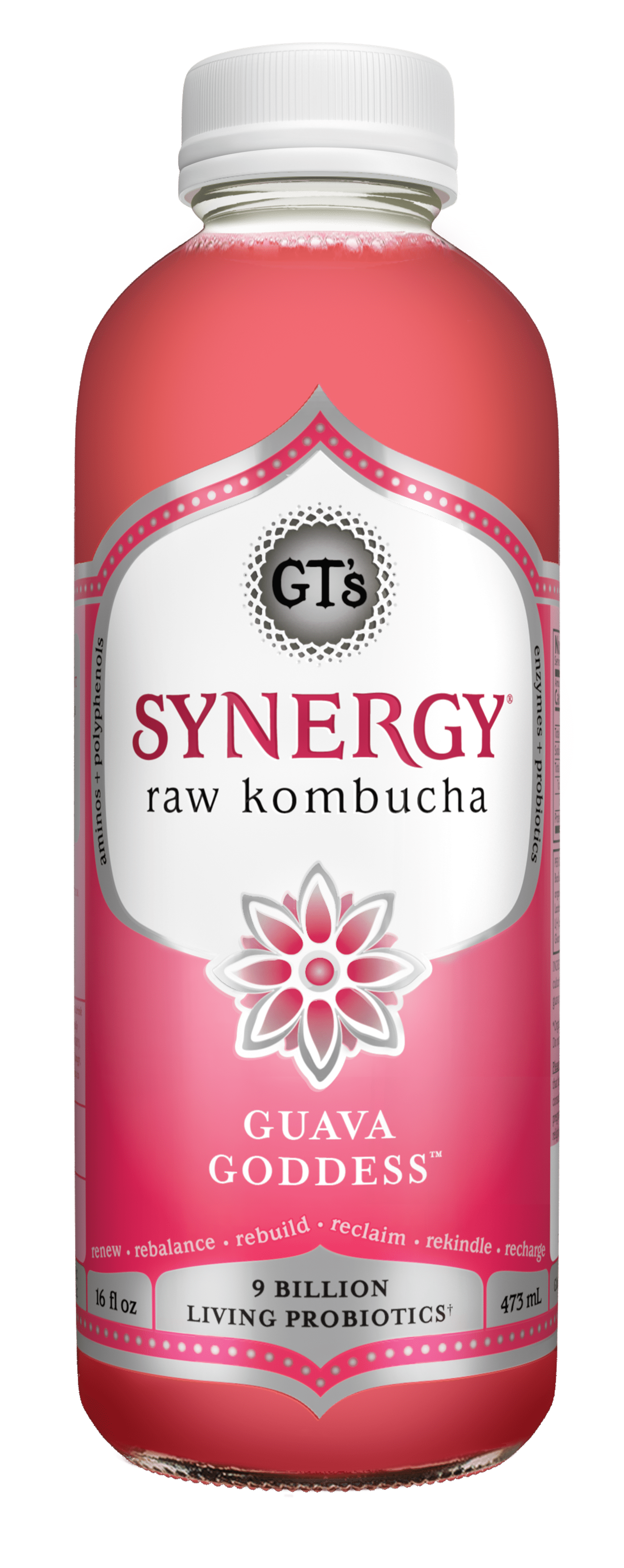 GT's Synergy Kombucha, Raw, Organic, Probiotics, No Added Sugar, Guava ...