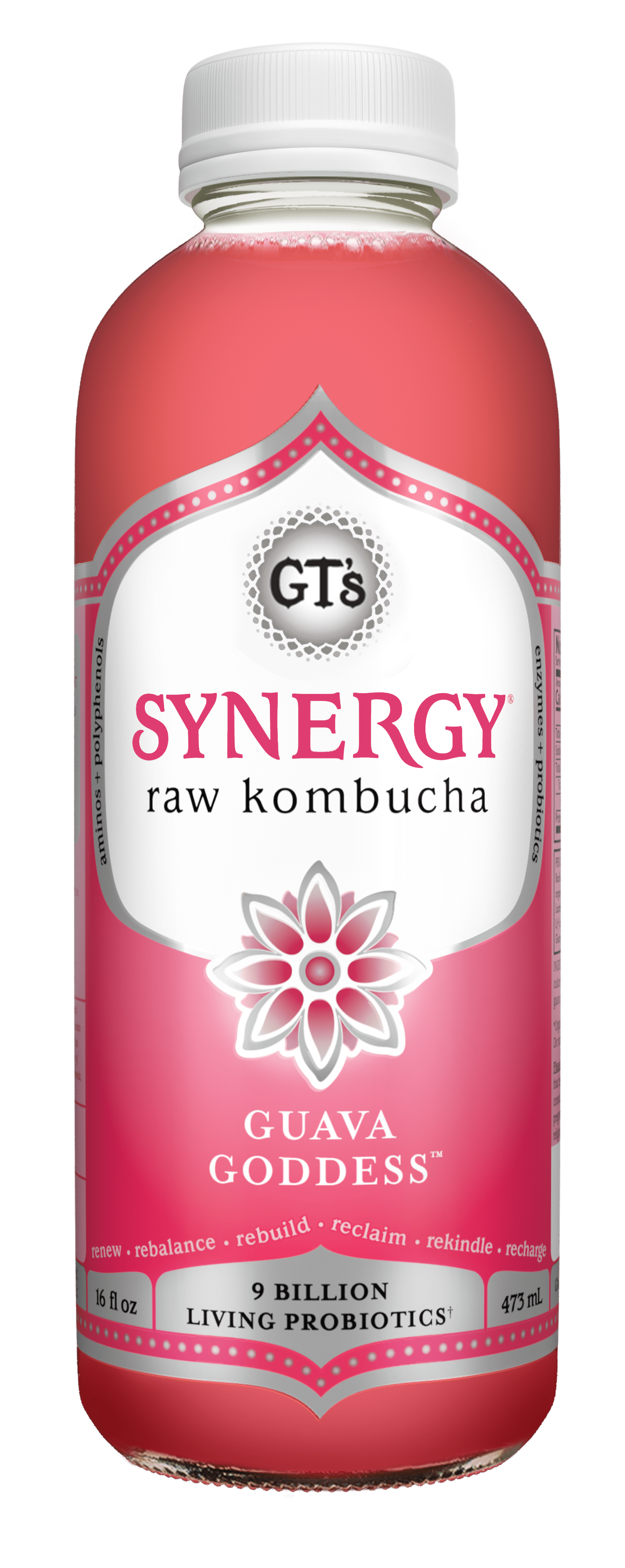 GT's Synergy Organic Raw Kombucha Guava Goddess, 16 fl oz - Walmart ...