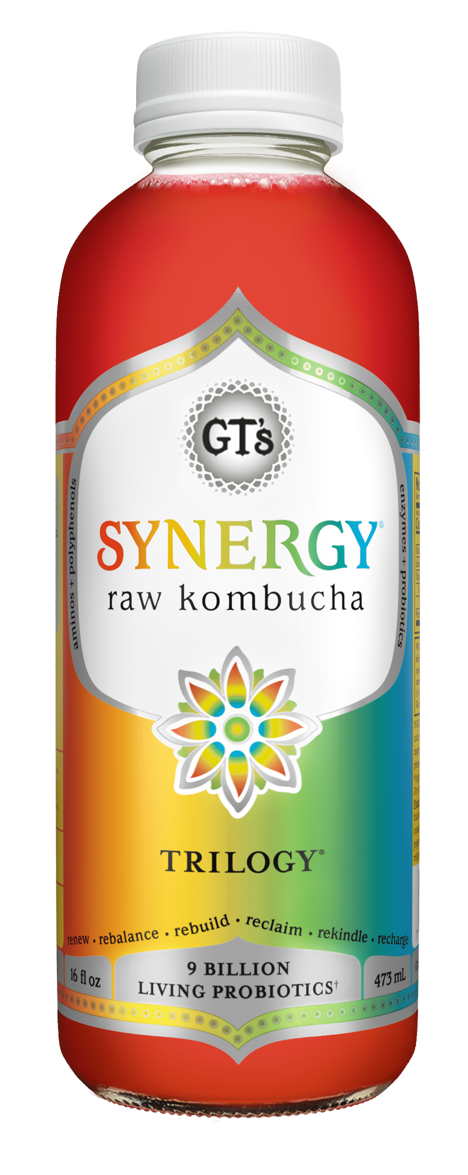 Synergy The Real Kombucha, Trilogy, 16 fl oz - Walmart.com