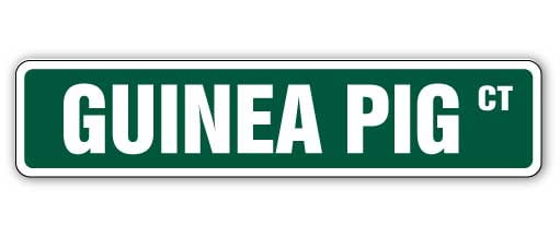 GUINEA PIG Street Sign Childrens Name Room Sign | Indoor/Outdoor | 14 ...