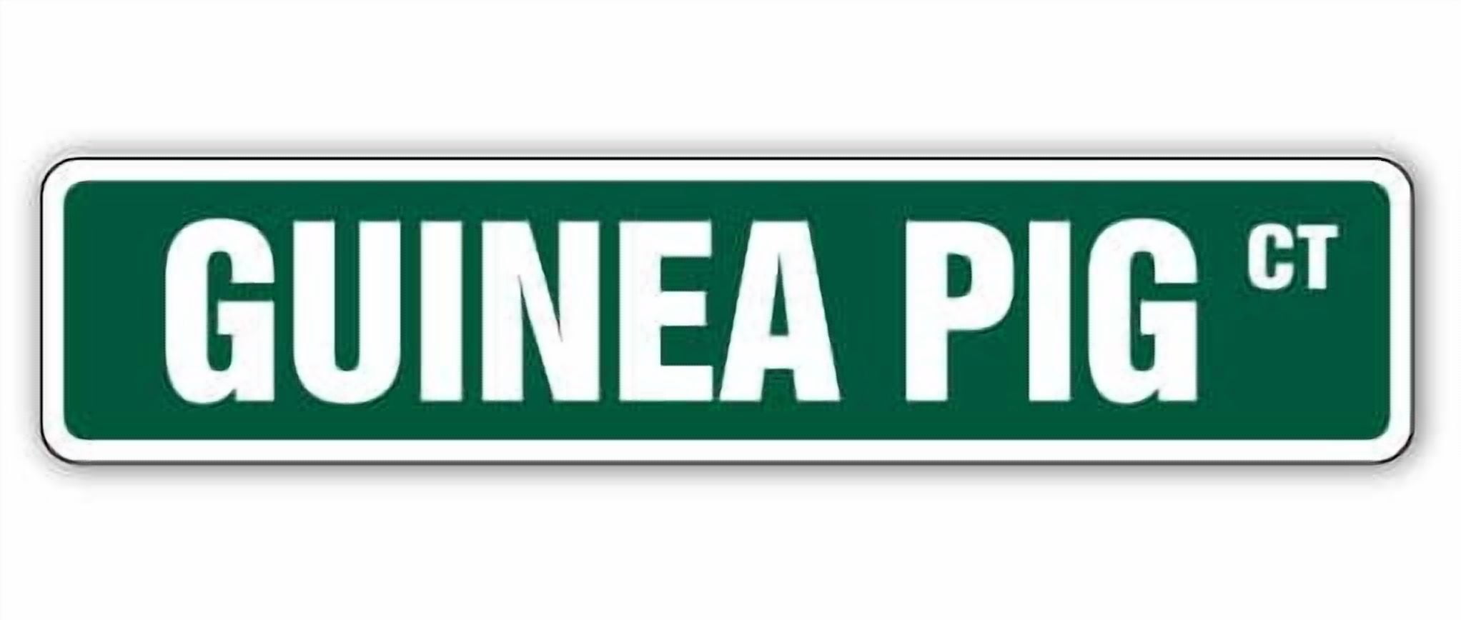 GUINEA PIG Street Sign Childrens Name Room Sign | Indoor/Outdoor | 36 ...