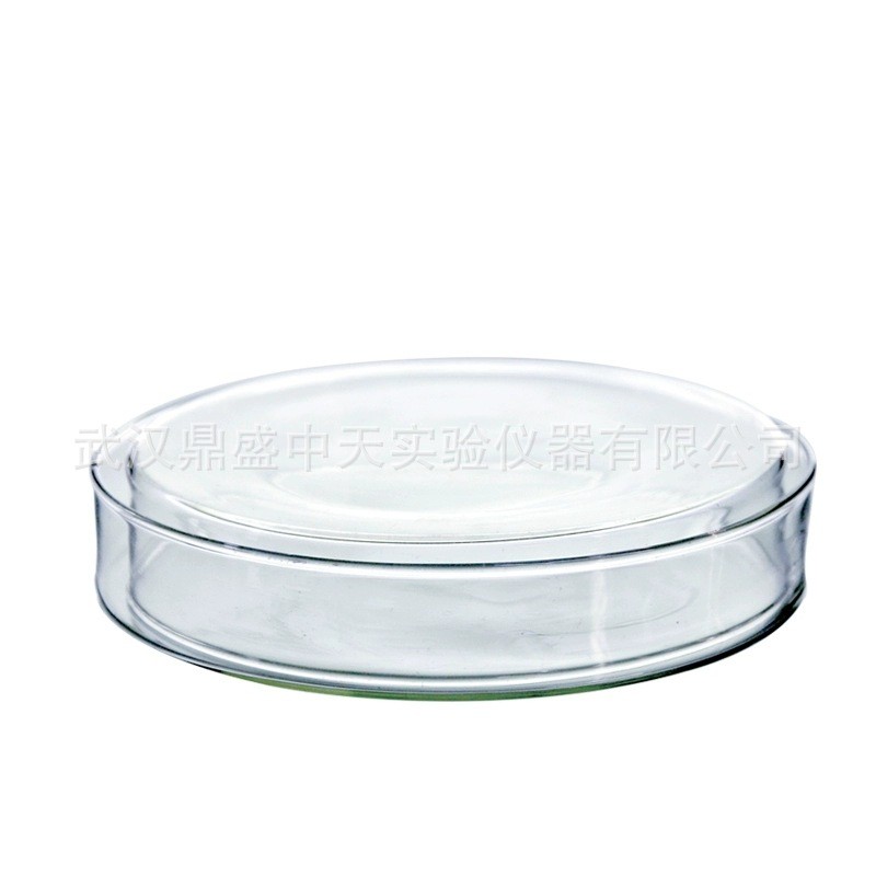 GUIYONG 1 Set Glass Petri Dish Glass Petri Dish For Science Projects ...