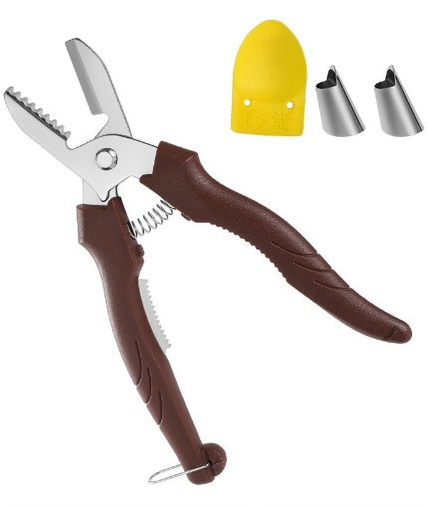 GUIYONG Chestnut Cutter Walnut Cracker Tool Stainless Steel Chestnut ...