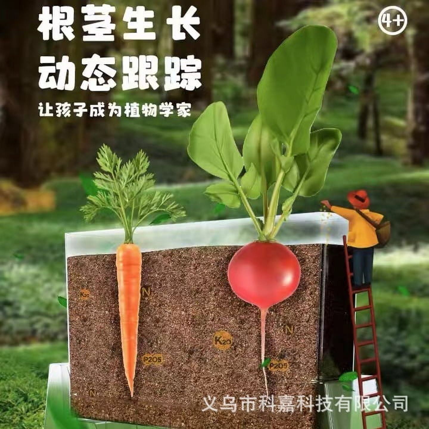 GUIYONG Kids Gardening Kit Root Viewer Mini Greenhouse Indoor Seedling ...