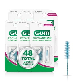 Dental Proxy Brushes