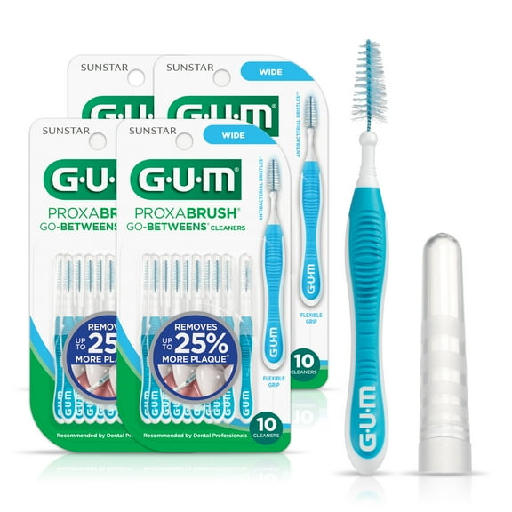 Dental Proxy Brushes