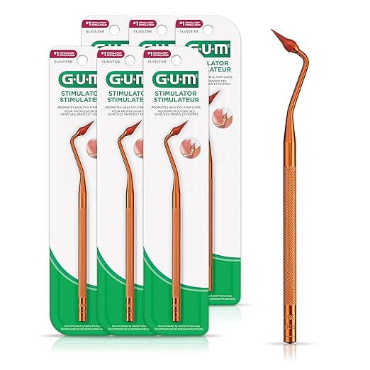 GUM Stimulator Permanent Handle - 1 Rubber Tip Included - Long Handled ...
