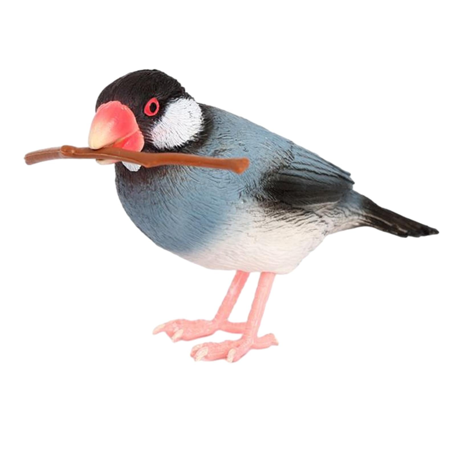 GUOOL Realistic Bird Figure Animal Figure DIY Crafts Early Educational ...