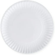 Paper Plates 6 inch, 100 Pack Paper Plates Bulk, Compostable Plates ...