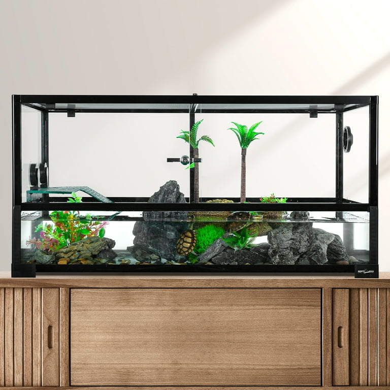 Land And Water Aquarium Life Aquatic: Water Plants That Thrive On Dry