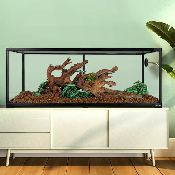 10 Gallon Terrarium