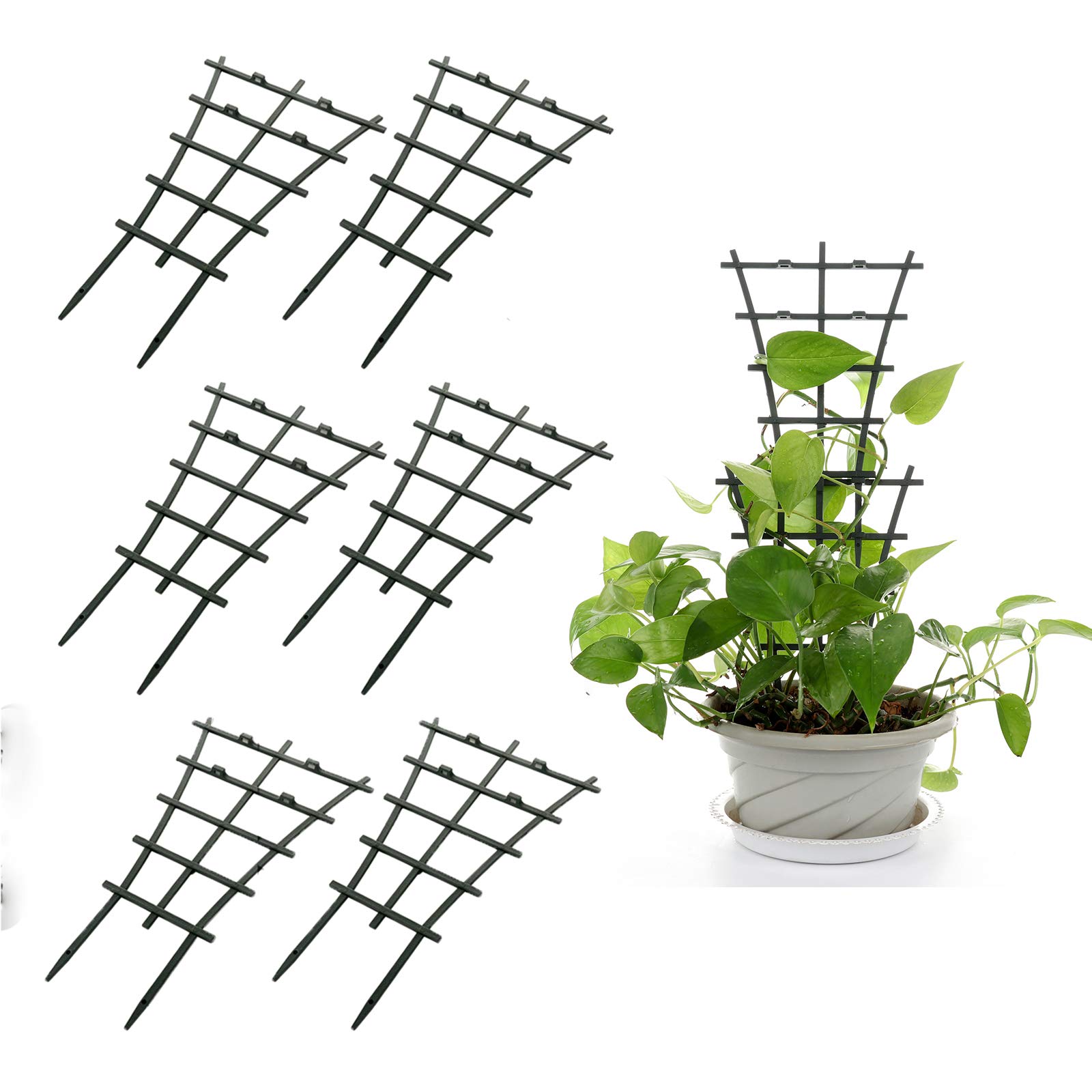 GWOKWAI 6Pcs Plant Climbing Trellis Supports, DIY Garden Mini ...