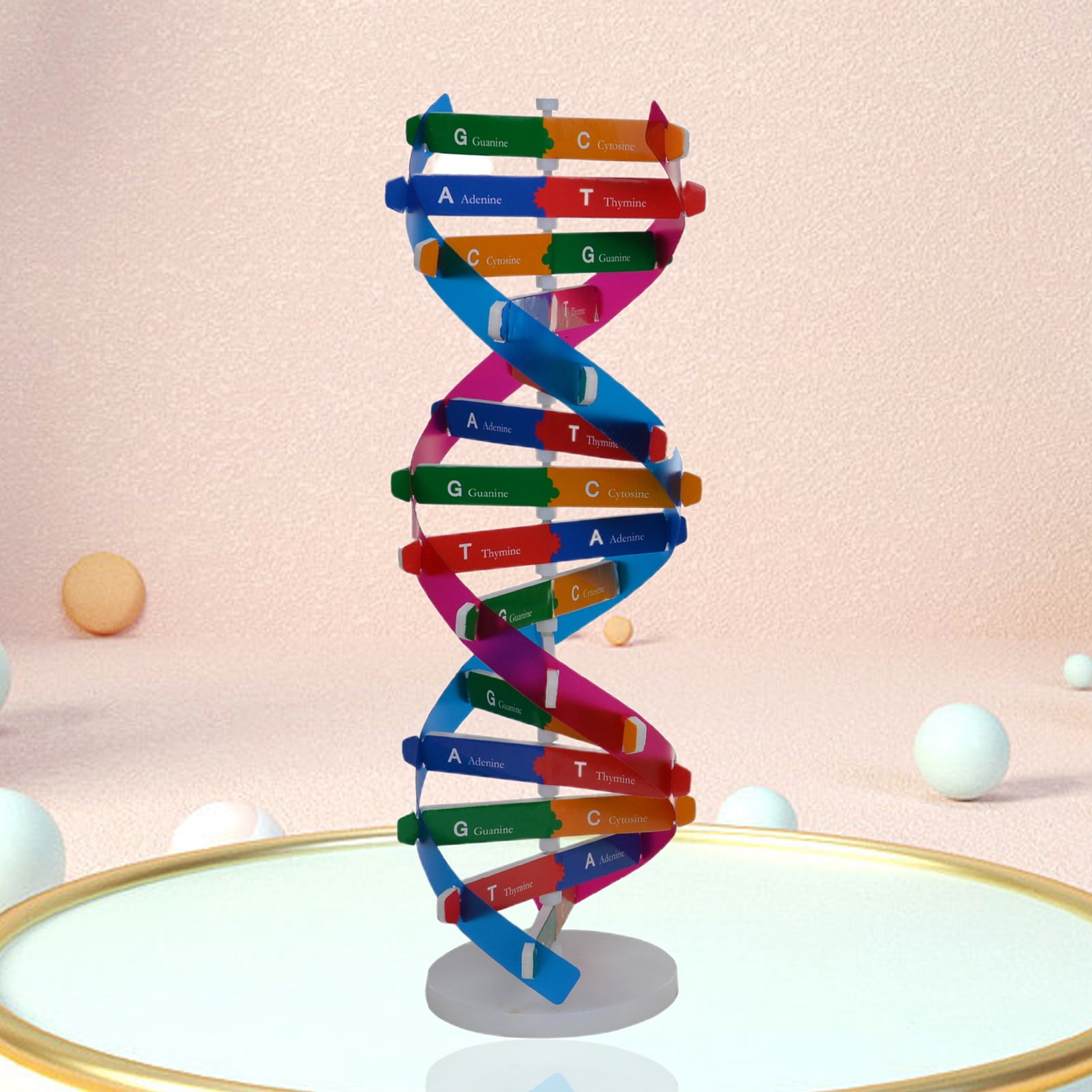 GWONG DNA Models Double Helix Structure Teaching Toy ABS Double Helix ...