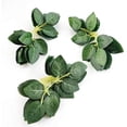 GYA Artificial Green Leaves 70pcs Bulk Faux Silk Greenery Fake Rose ...