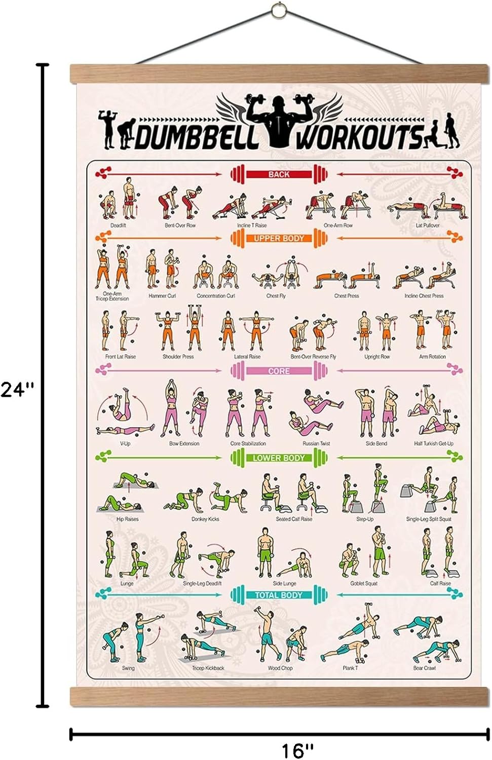 -GYM-Dumbbell-Workout-Pose-Poster-Decorative-Body-Position-Chart-Print ...