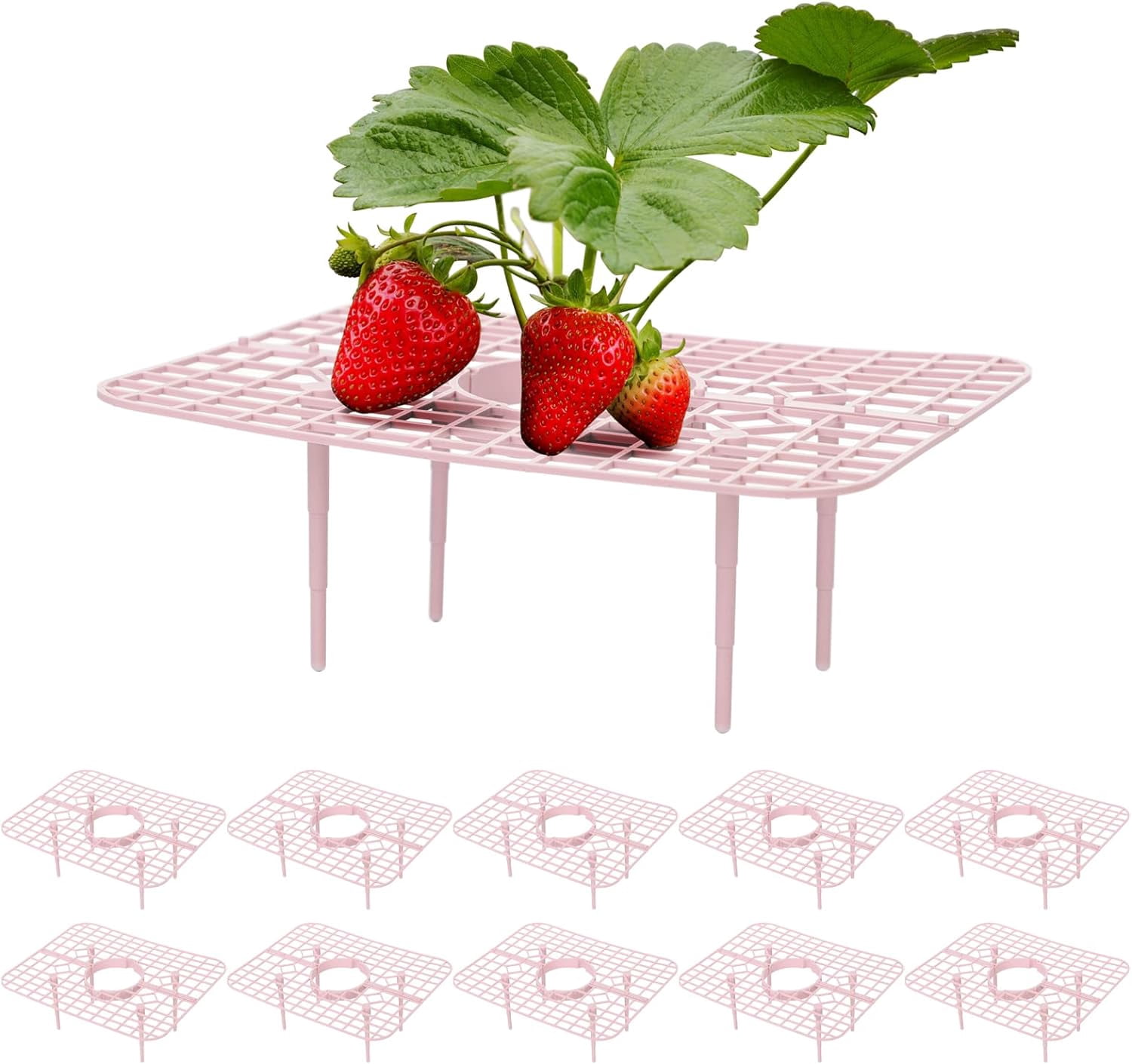GYTY 10 Pack Strawberry Supports Rectangle Strawberry Plant Stand with ...