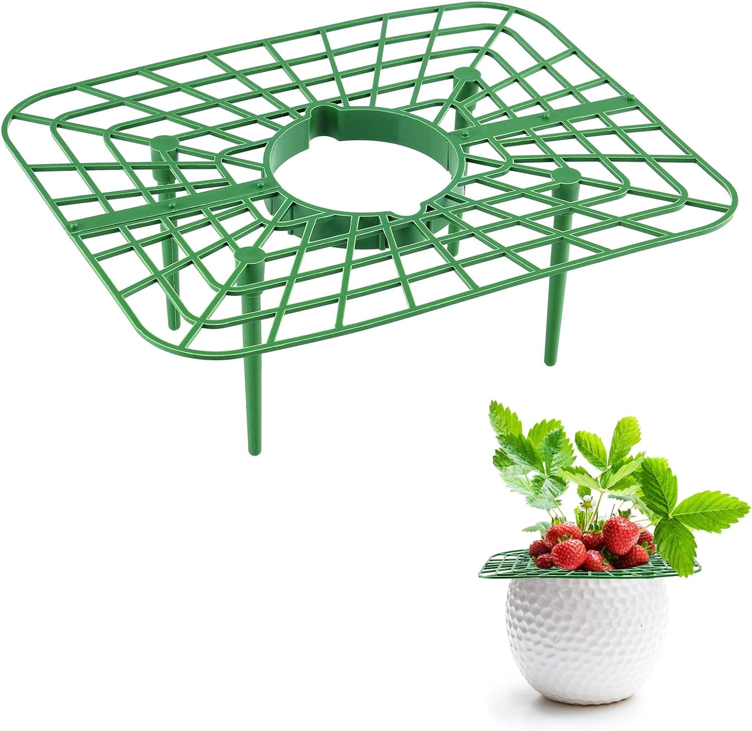 GYTY 6 Pack Strawberry Supports, Strawberry Plant Stand, Rectangle ...