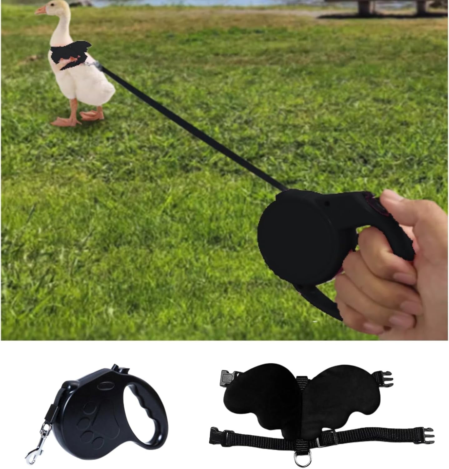 GYTY Automatic Retractable Leash Harness Set for Pet Ducks Hen Chickens ...