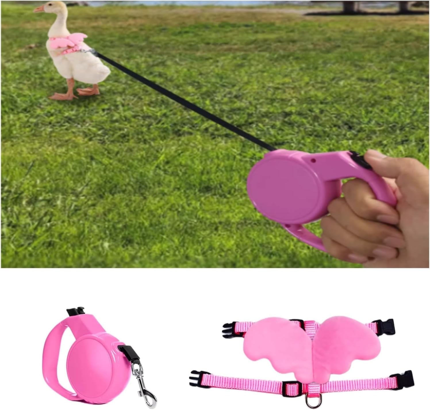 GYTY Automatic Retractable Leash Harness Set for Pet Ducks Hen Chickens ...