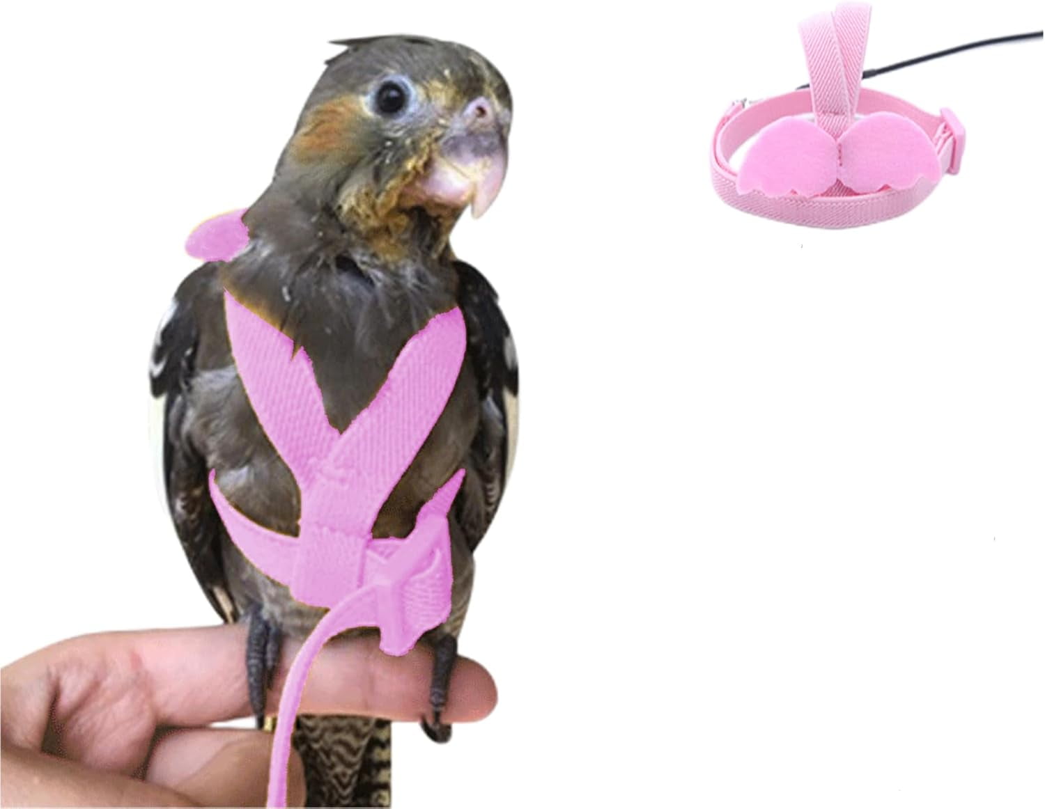 GYTY Bird Harness Parrot Leash -Adjustable Outdoor Flying Kit for ...
