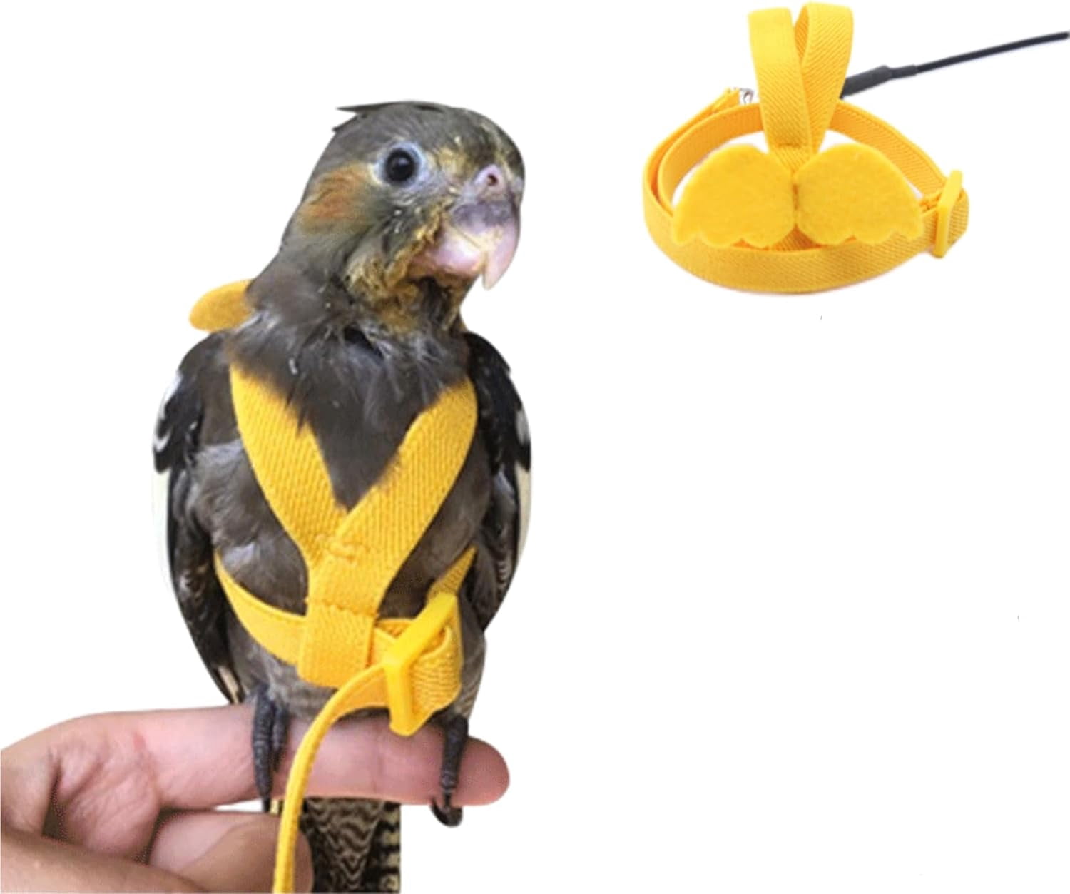 GYTY Bird Harness Parrot Leash -Adjustable Outdoor Flying Kit for ...