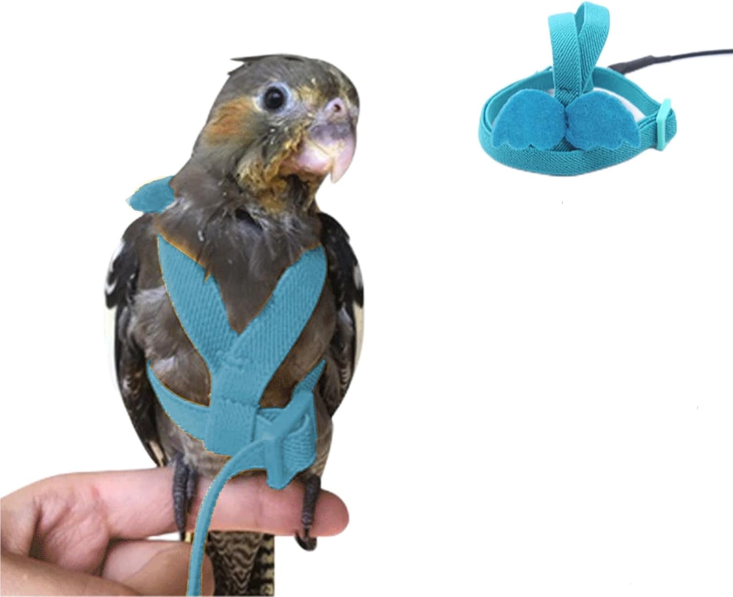GYTY Bird Harness Parrot Leash -Adjustable Outdoor Flying Kit for ...