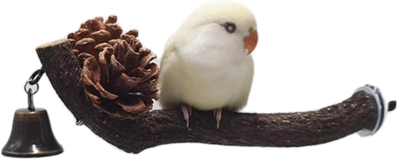 GYTY Bird Stand Perch Natural Wood Gym with Pine Cone Chewable Toys ...