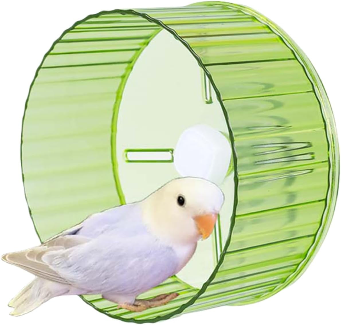 GYTY Bird Wheel Toy, Silent Parrot Exercise Wheel Interactive Rotating ...