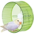 GYTY Bird Wheel Toy, Silent Parrot Exercise Wheel Interactive Rotating ...