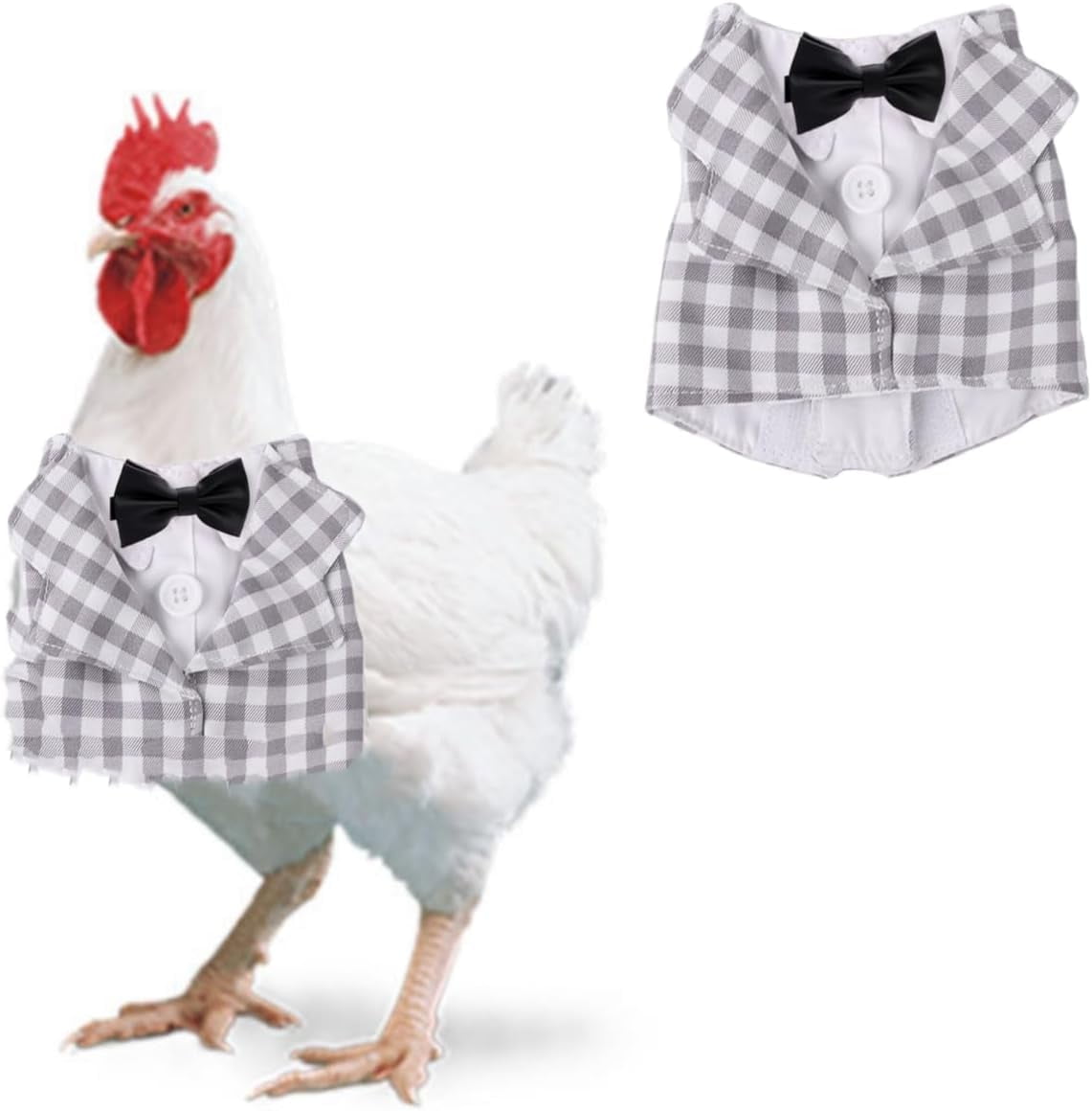 GYTY Chicken Costumes with Cute Pet Poultry School Uniform Design ...