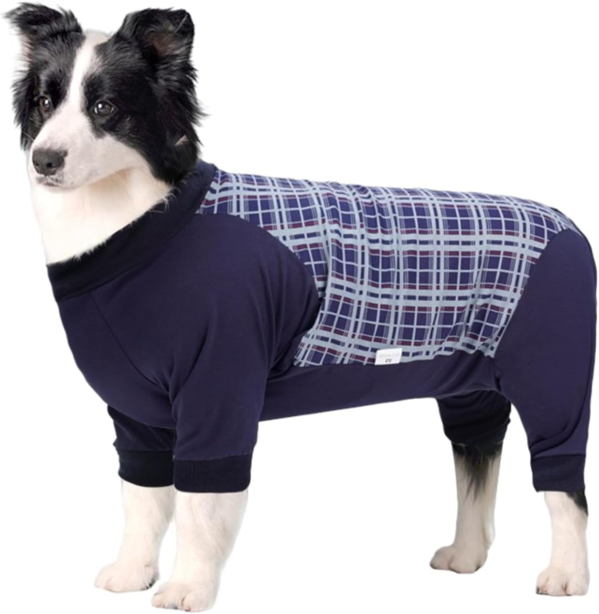 GYTY Dog Recovery Suit - Canine Post-Surgery Garment for Medium Large ...