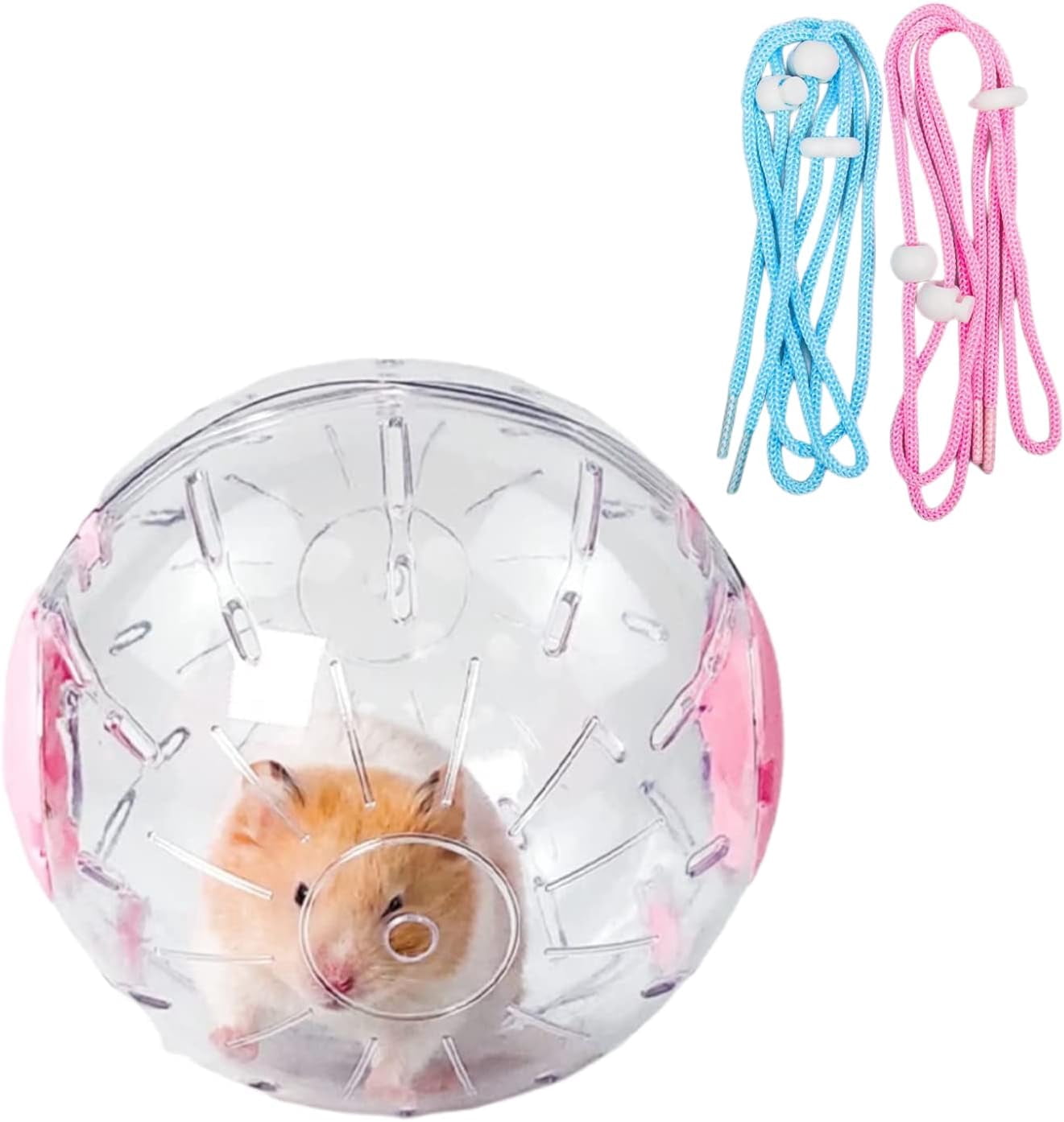 Hamster Ball Png Transparent Hamster Hamster Png Hamster Png ...