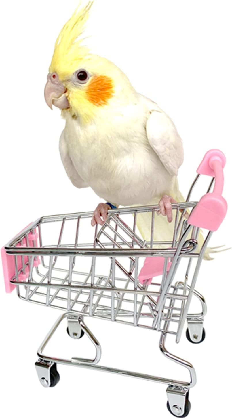 GYTY Parrot Toy Bird Mini Shopping Cart Small Animal Supermarket ...