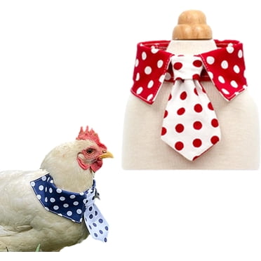 Hen Holster Bird Diaper/Harness (Made in USA) with Removable Vinyl ...