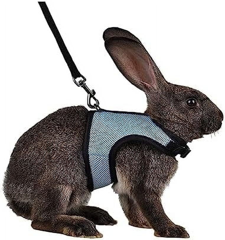 GYTY Rabbit Harness and Leash Set - Adjustable Escape-Proof Training ...