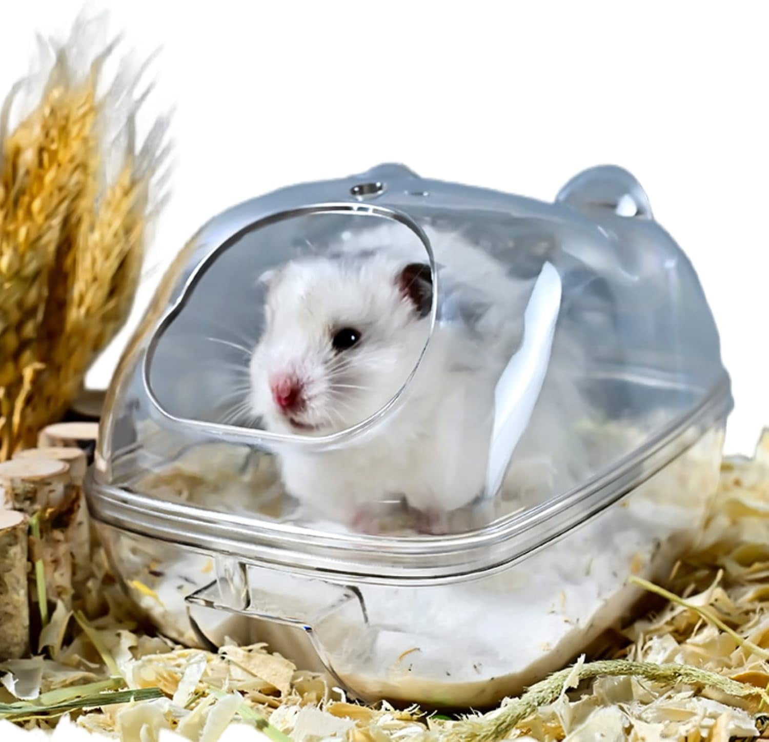 GYTY Small Pet Sand Bath Box - Clear Dust Bathing Container for ...