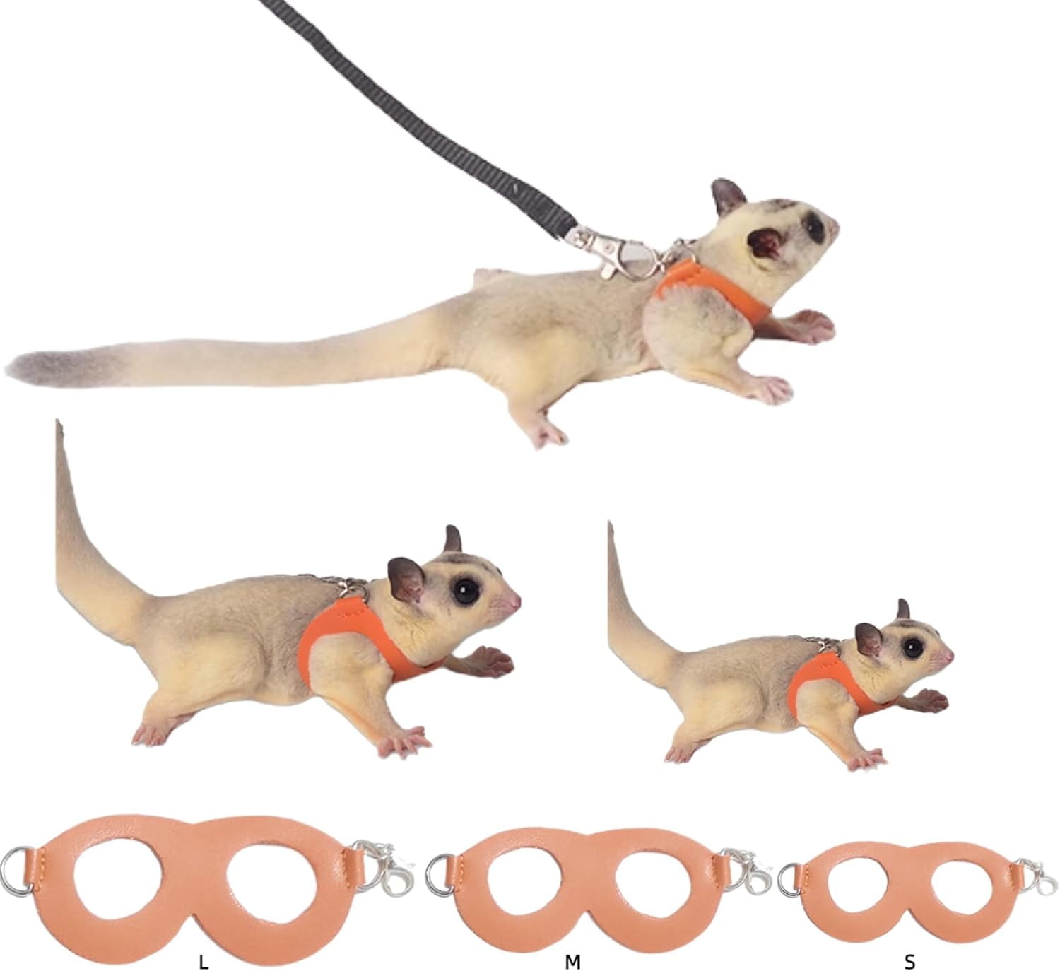 GYTY Sugar Gliders Harness Leash Set - 3 Pcs Training Walking Gear ...