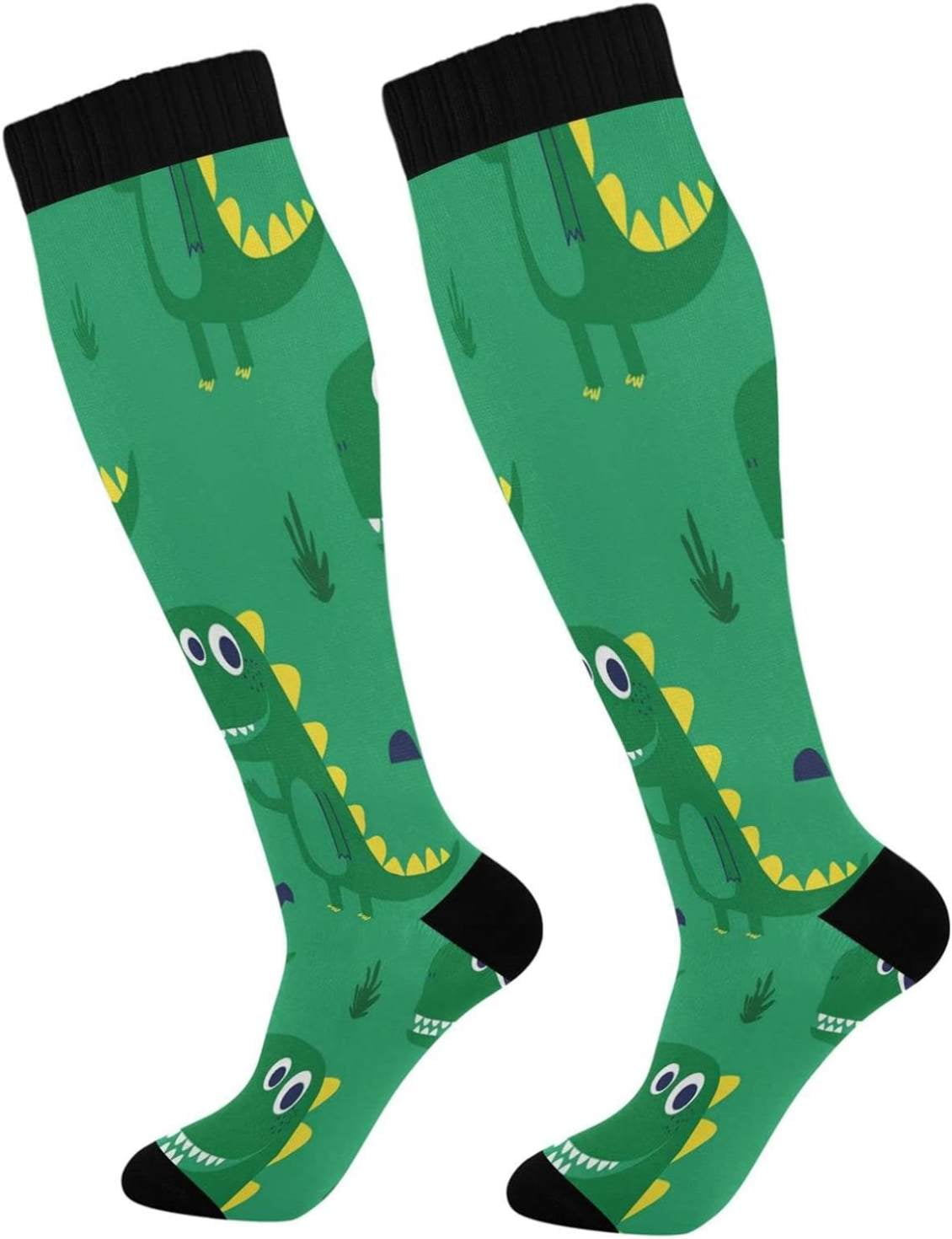 GZHJMY 1 Pair Cute Dinosaur Compression Socks for Women Men, Knee High ...