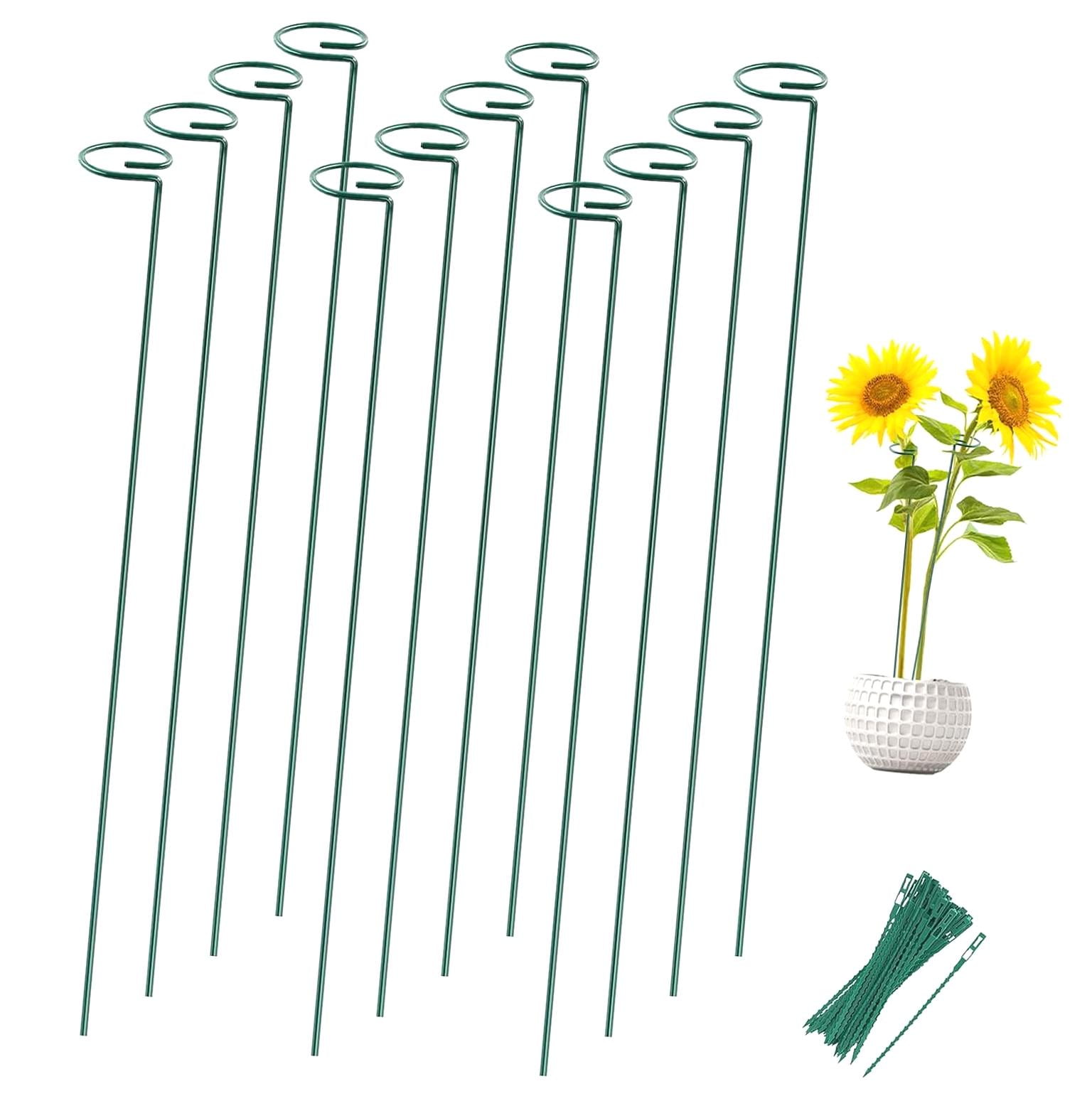 GZHJMY 12 Pack Plant Support Stakes 36 Inches, Garden Stakes with 24 ...