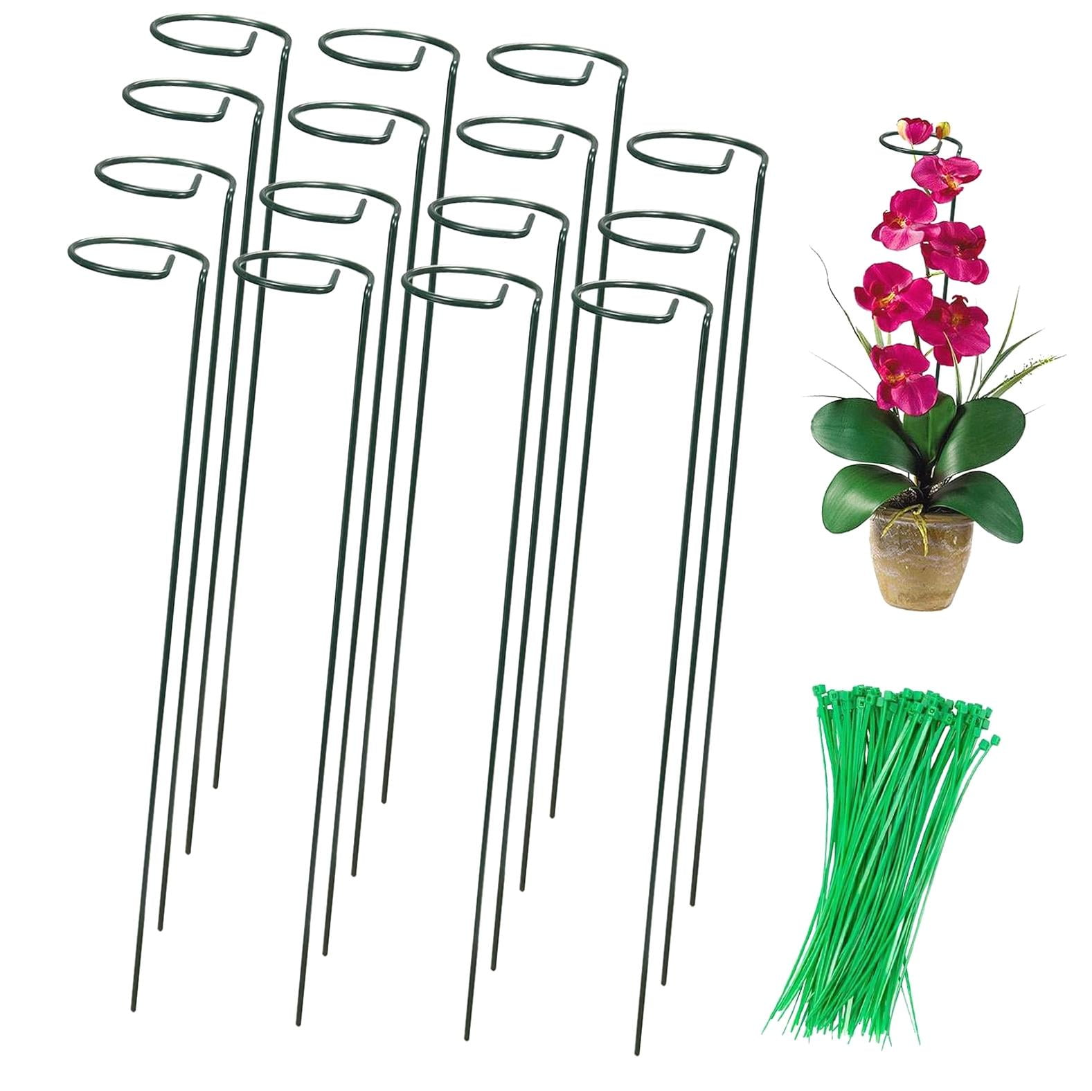 GZHJMY 16.1 Inch Plant Support Stakes, 15 Metal Garden Stakes with 30 ...