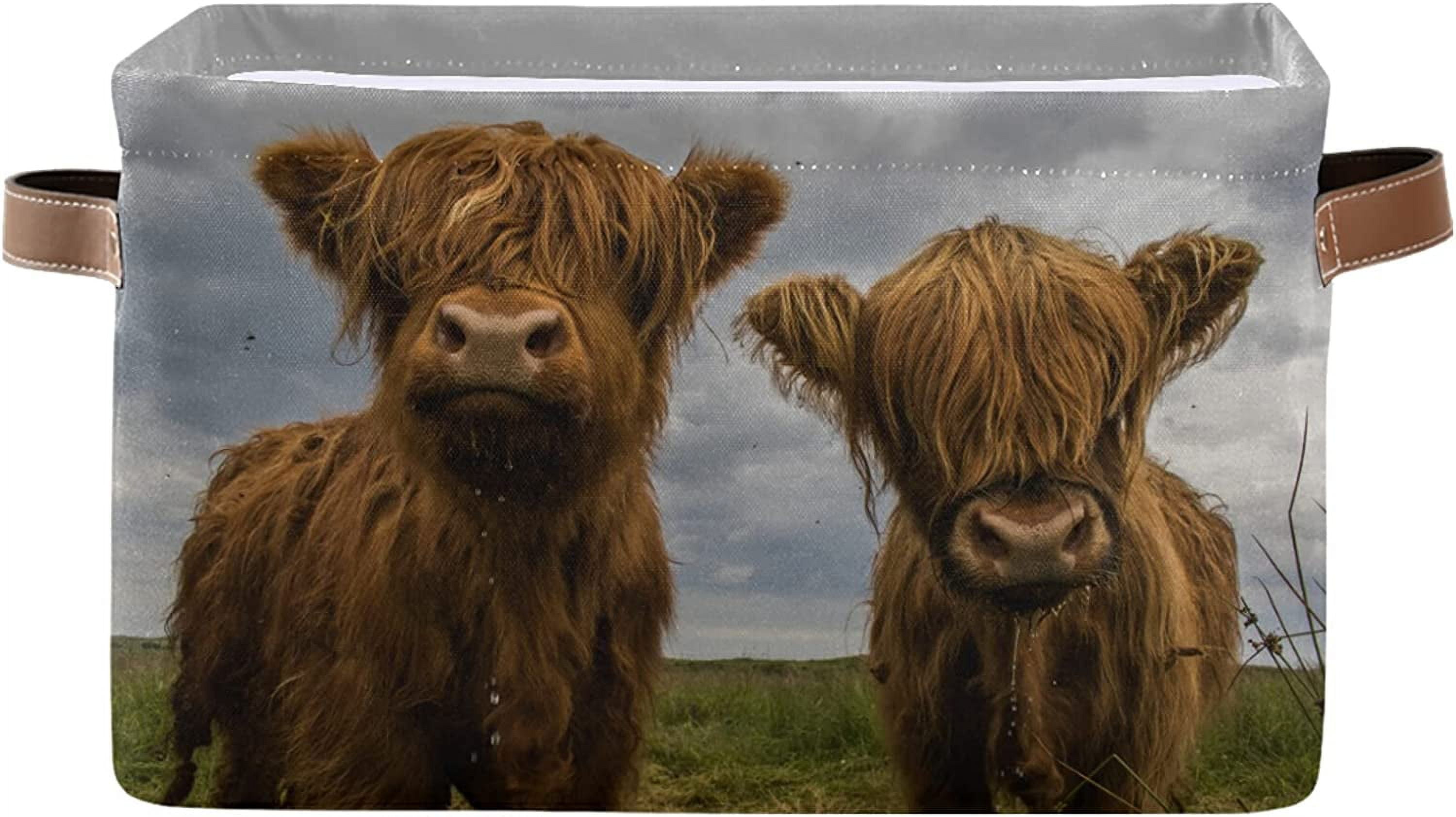 GZHJMY 1PCS Storage Basket, Two Highland Cows Large Foldable Storage ...