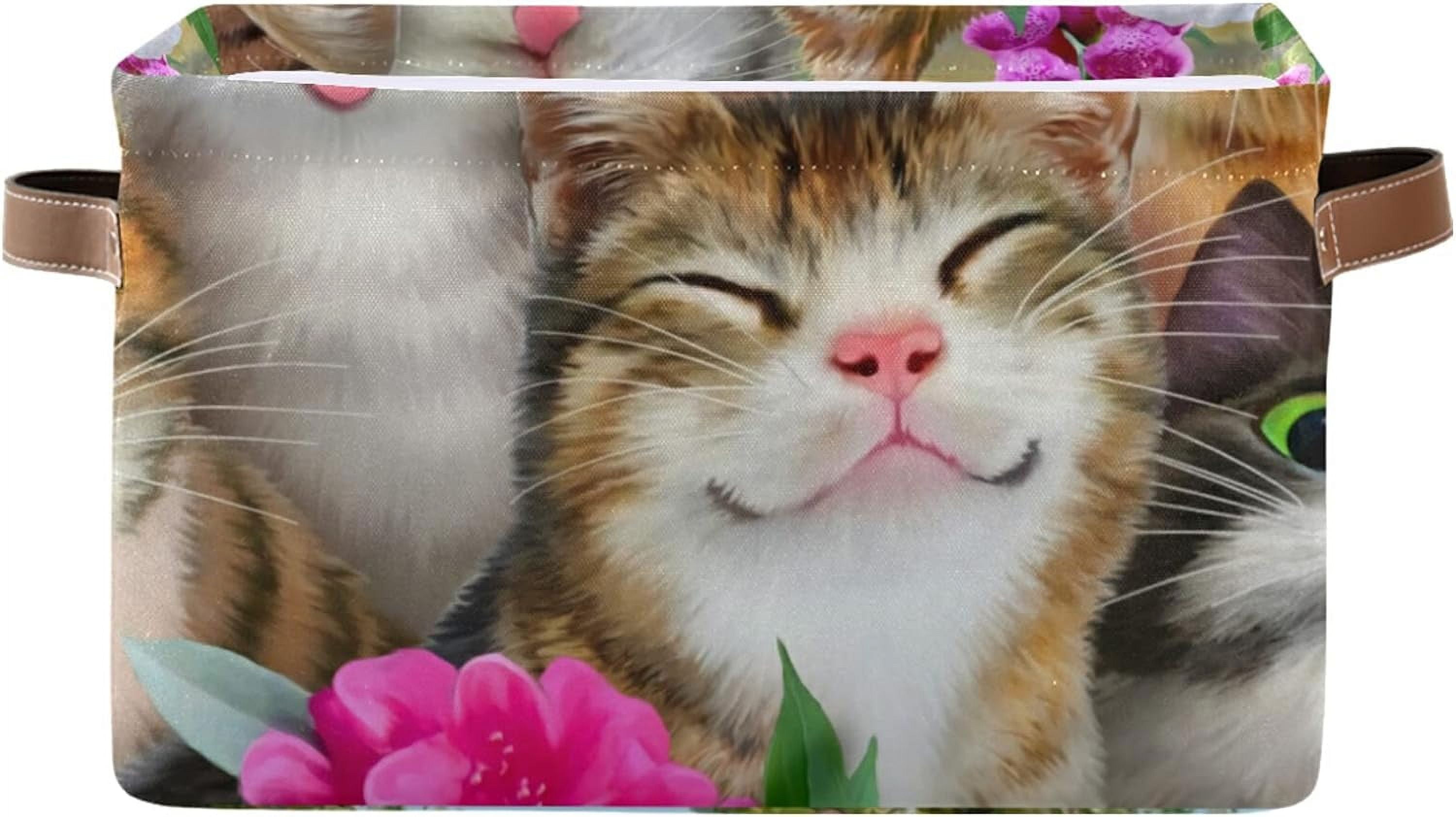 GZHJMY 2 Pack Collapsible Organizer Storage Bins with Cats Selfie Cute ...